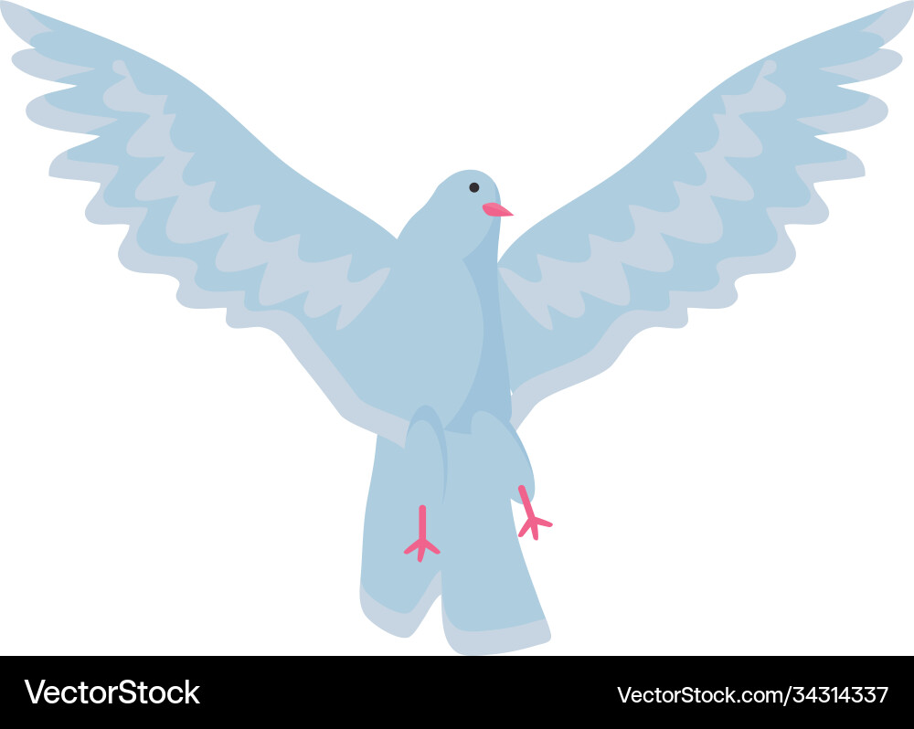 Cute dove open wings detailed Royalty Free Vector Image