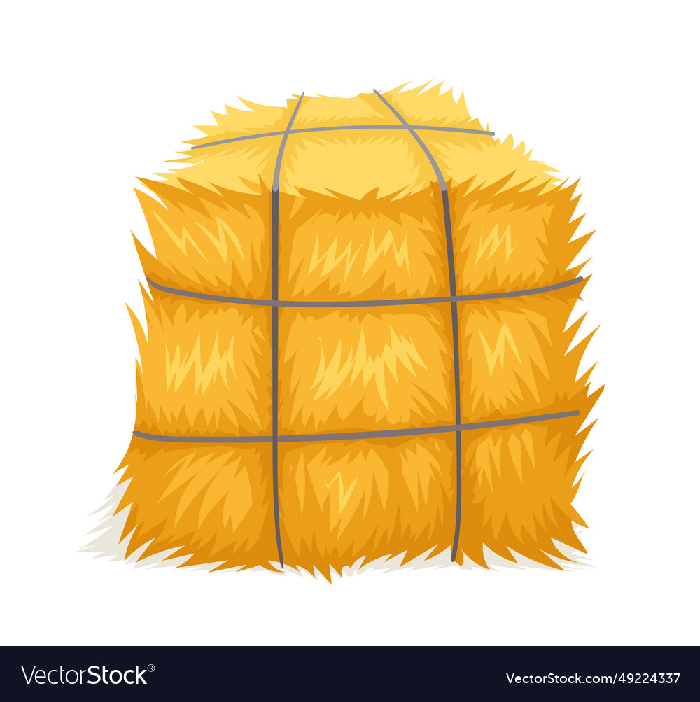 Haystack yellow concept Royalty Free Vector Image