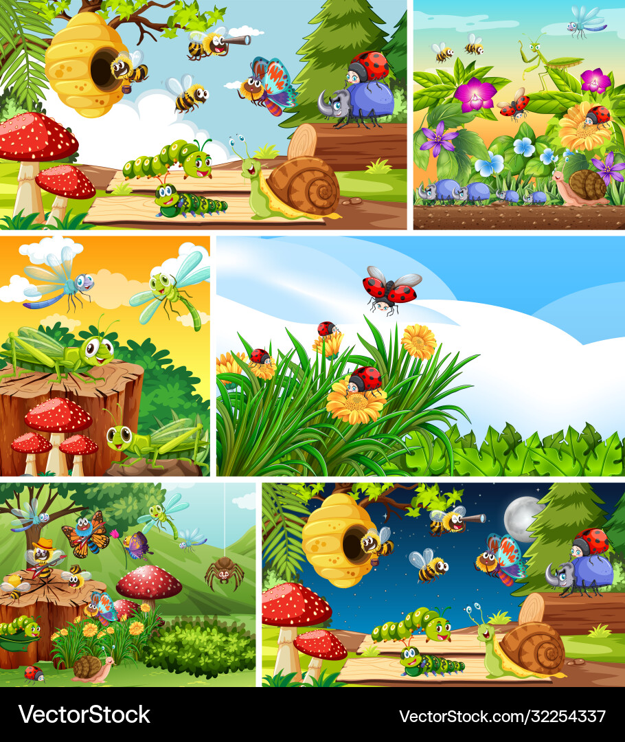 Set different insects living in garden Royalty Free Vector