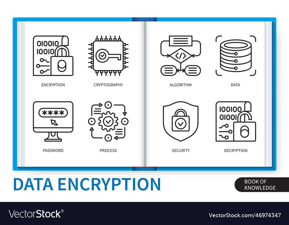 Data Encryption Infographics Linear Icons Vector Image