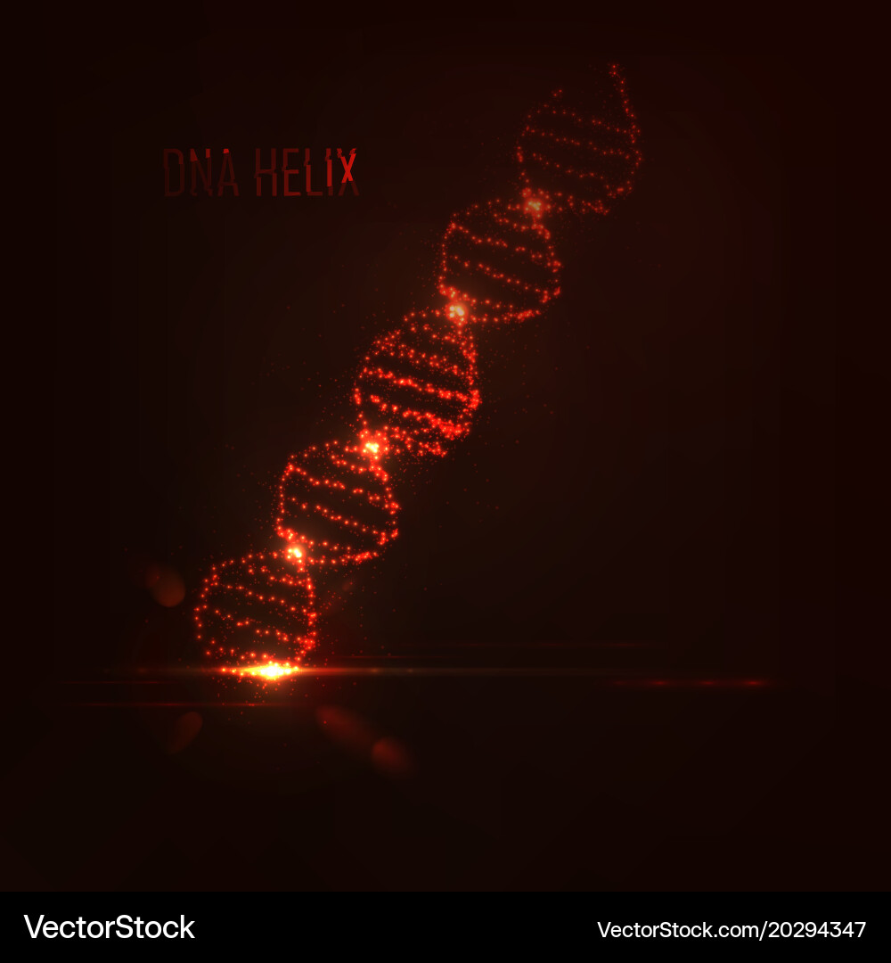 Dna shape of glowing circles and particles Vector Image