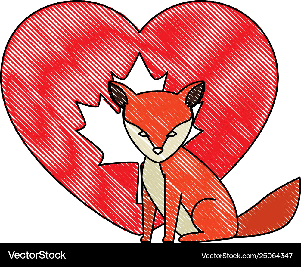 Wild canadian fox with heart flag Royalty Free Vector Image