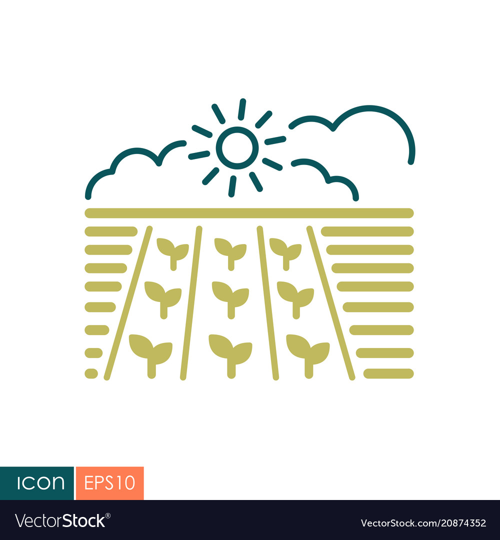 Spring field seedling green plants organic farm Vector Image