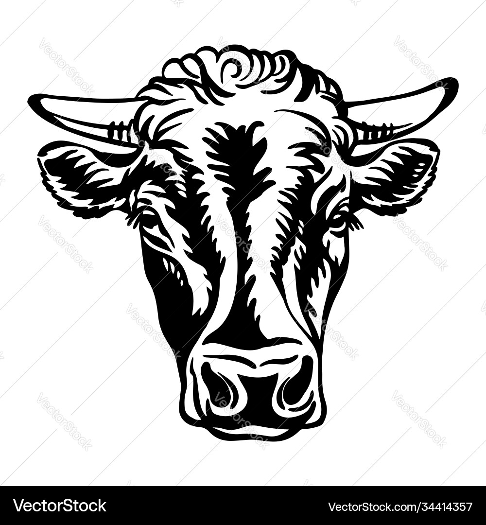 Black contour portrait cow Royalty Free Vector Image