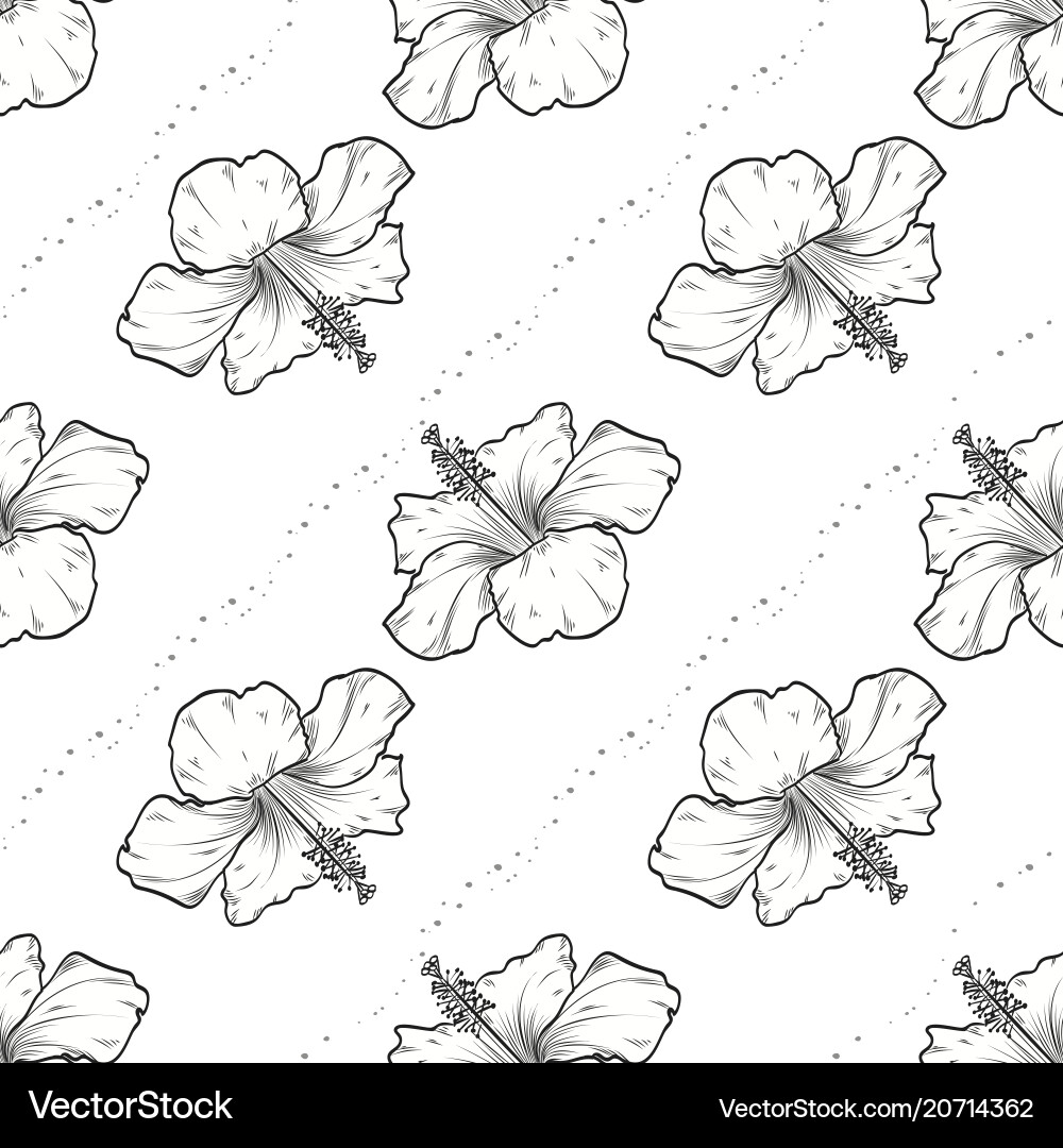 Hibiscus seamless pattern of flowers Royalty Free Vector