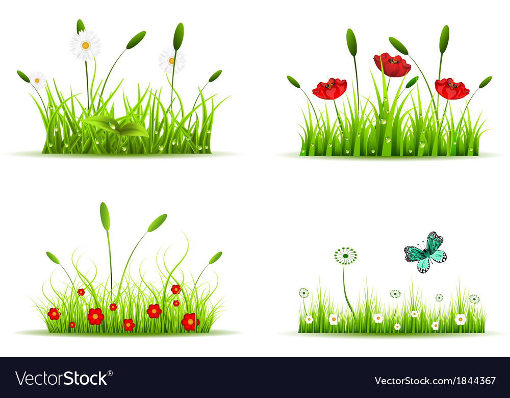 Grass Royalty Free Vector Image - VectorStock