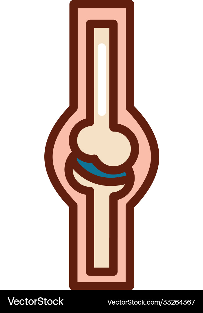 Human body bones and structure anatomy organ Vector Image