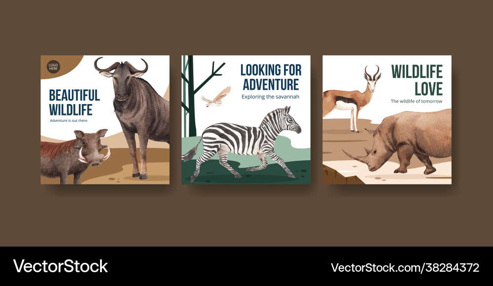 Advertise template with savannah wildlife concept Vector Image