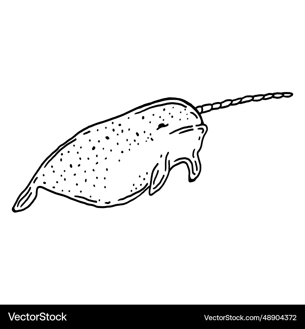 Hand drawn of narwhal Royalty Free Vector Image