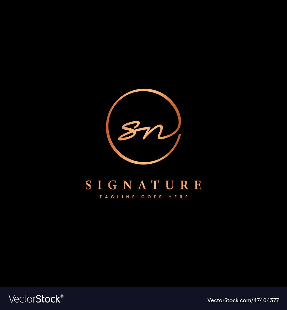 S n sn initial letter handwritten signature logo Vector Image