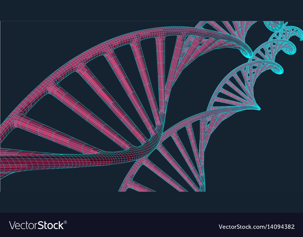 Grey dna with polygon line on blue background Vector Image Grey dna with polygon line on blue background Vector Image