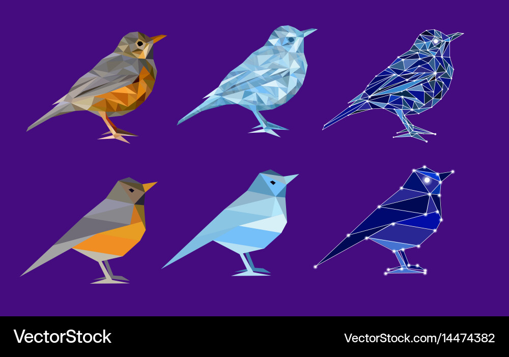 Set of birds in polygon style Royalty Free Vector Image