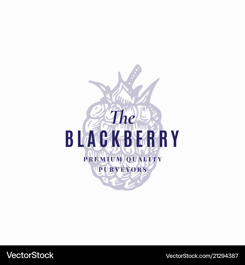 Blackberry abstract sign symbol Royalty Free Vector Image