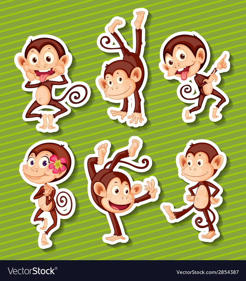 Monkeys set Royalty Free Vector Image - VectorStock