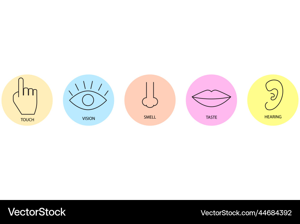 Modern sense organs set cartoon icon Royalty Free Vector