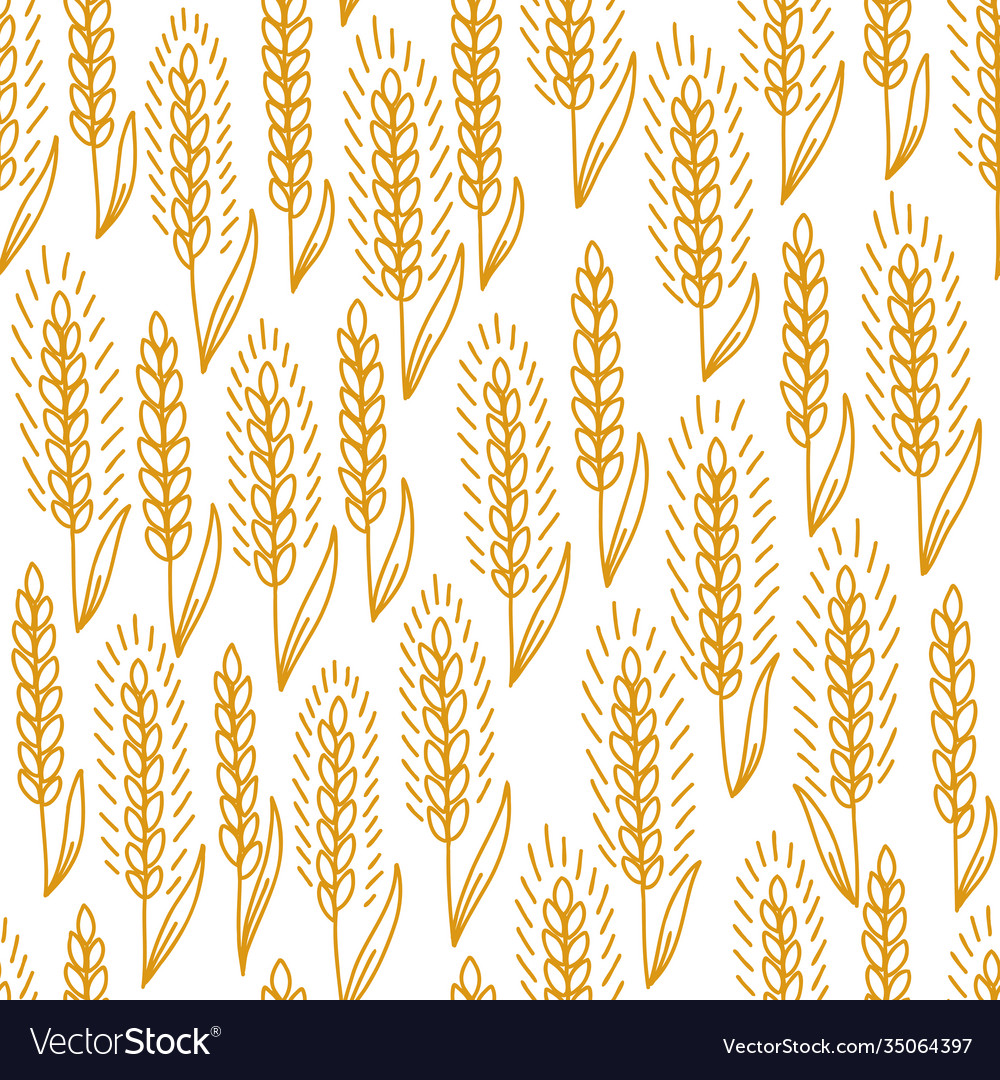 Cereal field wheat seamless pattern bread Vector Image