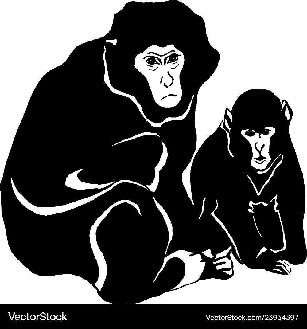 Hand drawn sketch of monkey isolated Royalty Free Vector
