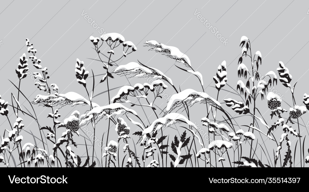 Seamless border with monochrome meadow plants Vector Image