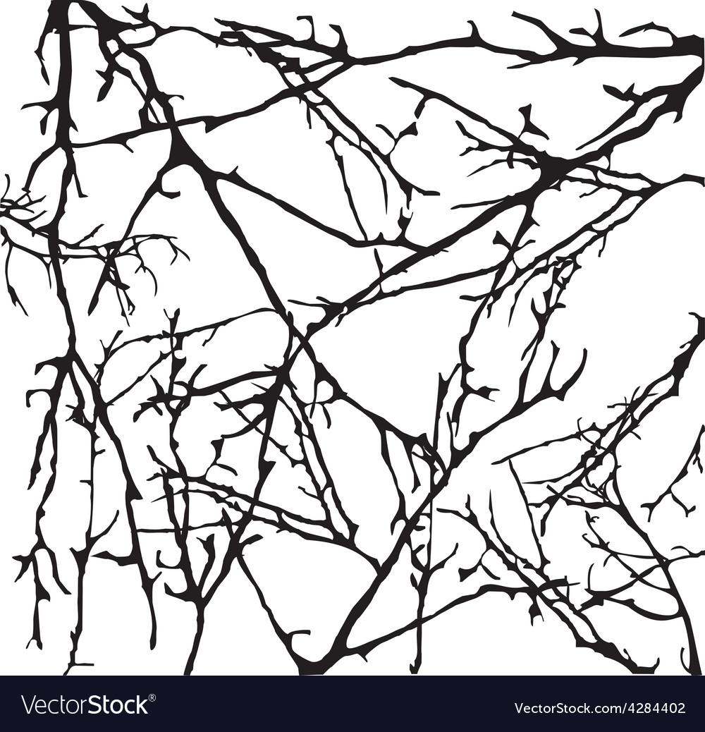 Branches Royalty Free Vector Image - VectorStock