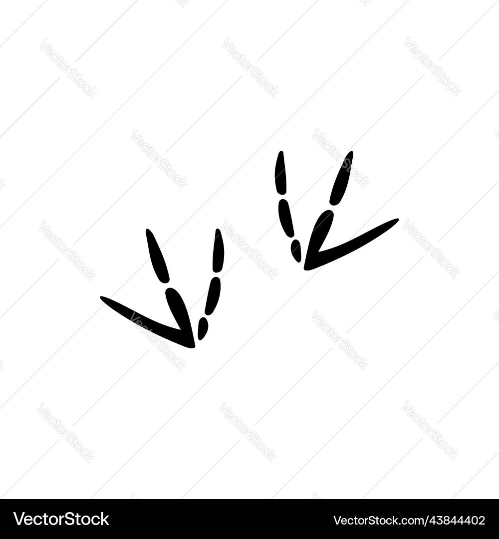 Crow or raven feathered animal footprints isolated