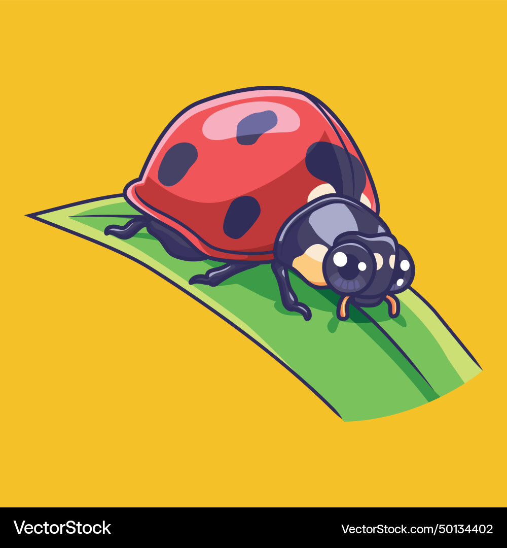 Cute ladybug animal cartoon character Royalty Free Vector