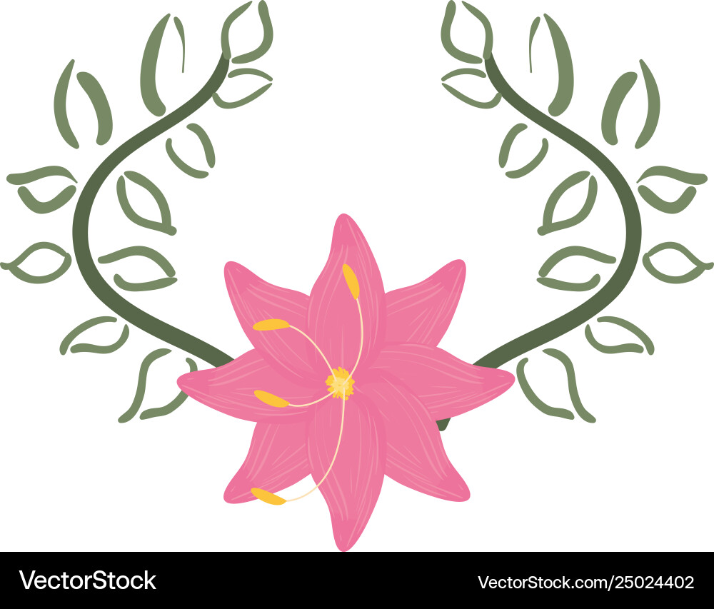 Floral flowers leaves Royalty Free Vector Image