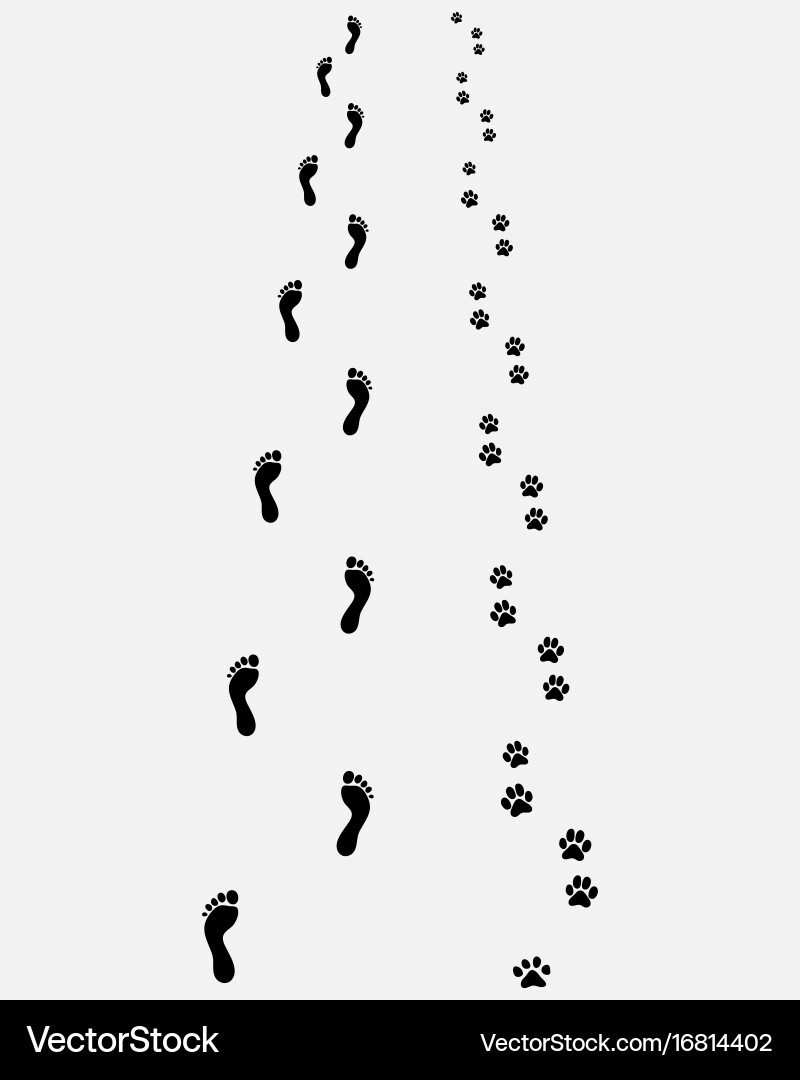 Human feet and dog paws Royalty Free Vector Image