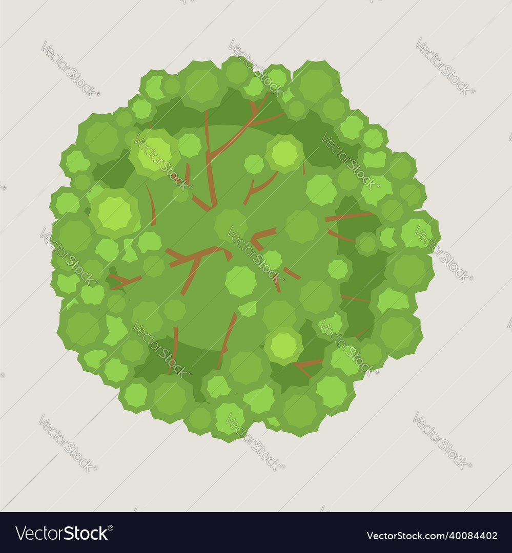 Tree crown flat design Royalty Free Vector Image