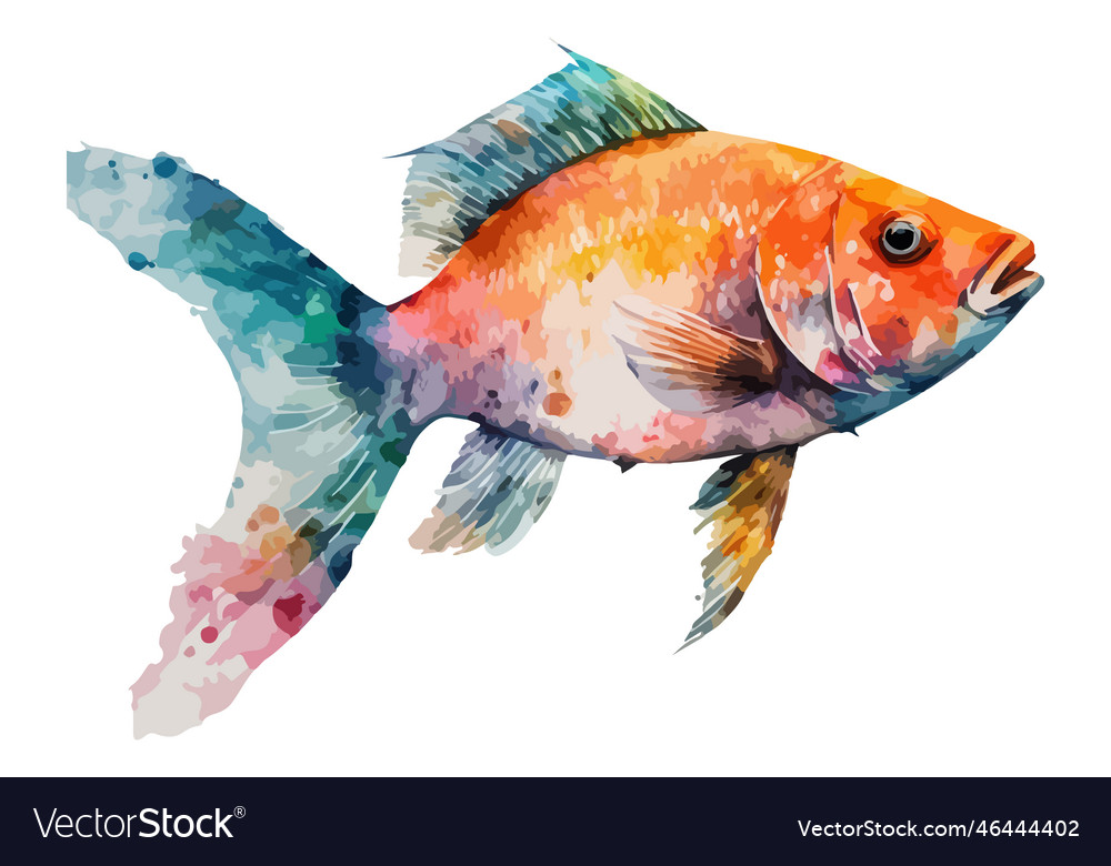 Watercolor fish Royalty Free Vector Image - VectorStock