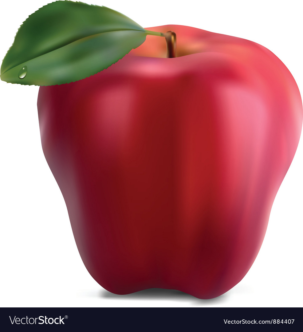 Apple Royalty Free Vector Image - VectorStock