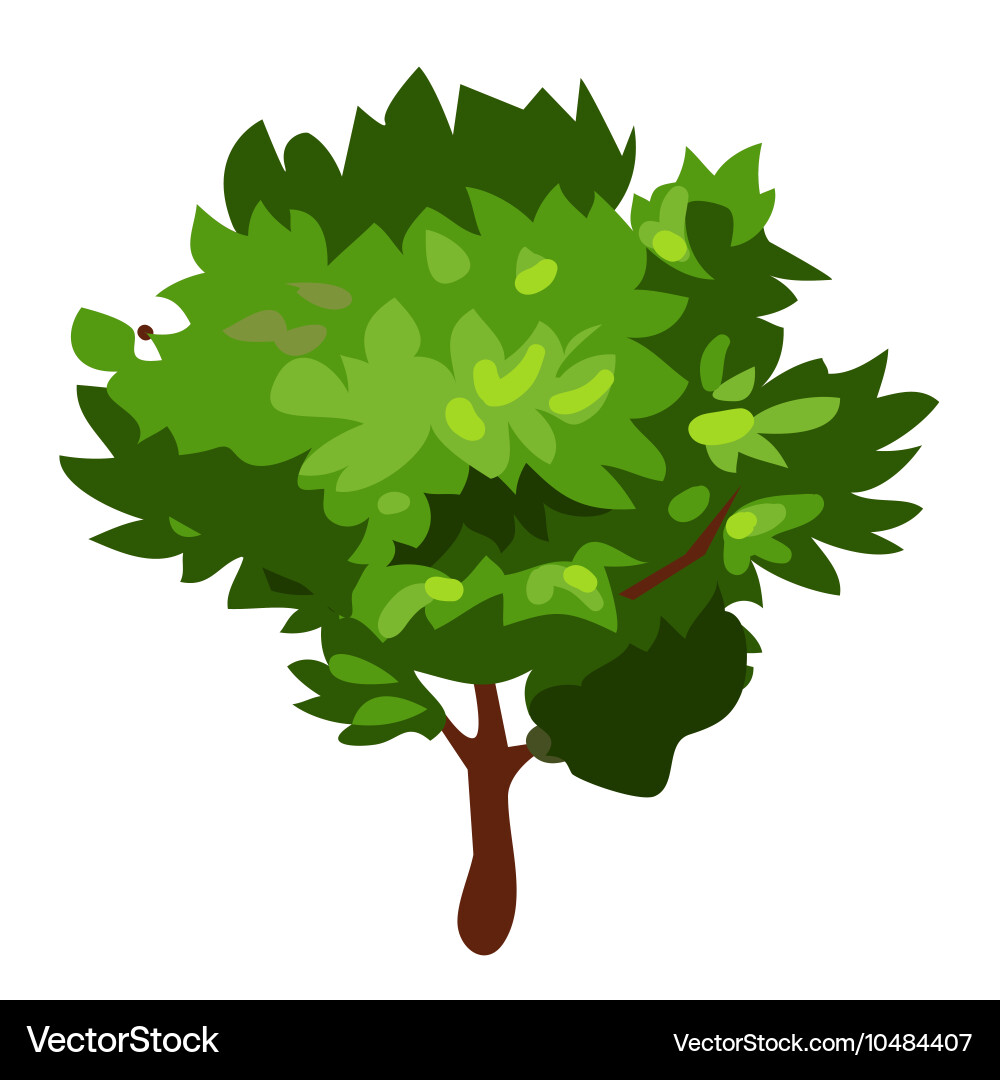 Green tree in cartoon style on white background Vector Image