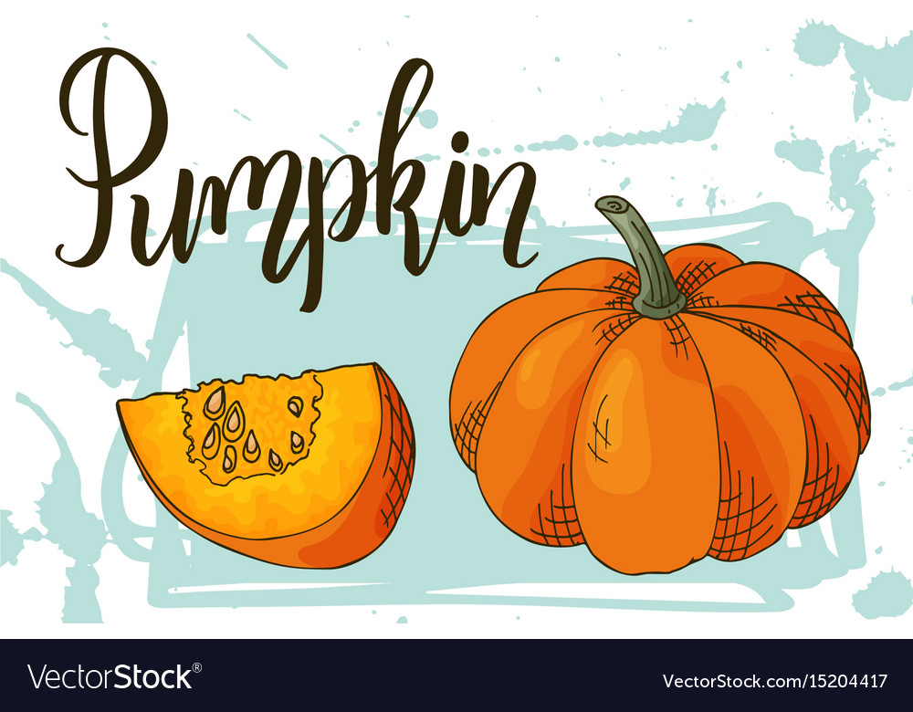Colorful Sketch Vegetable Healthy Food Poster Vector Image colorful-sketch-vegetable-healthy-food-poster-vector-image