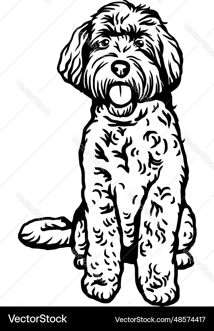 Labradoodle - dog breed funny file Royalty Free Vector Image