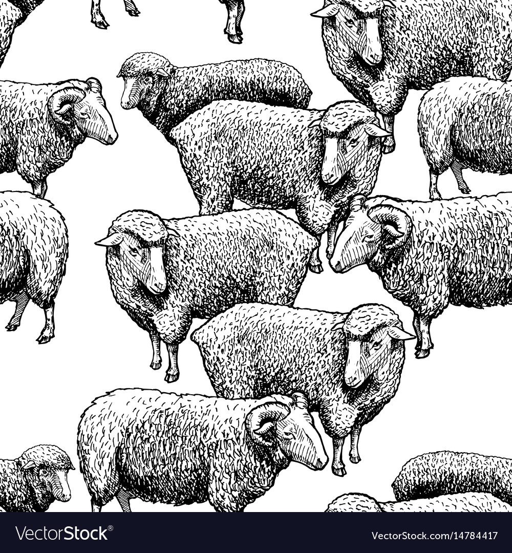 Pattern with sheep Royalty Free Vector Image - VectorStock