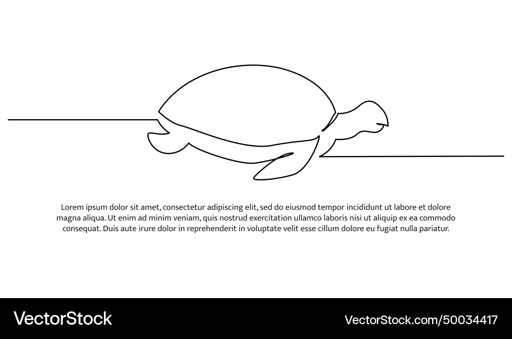 Turtle line design simple animal silhouette Vector Image