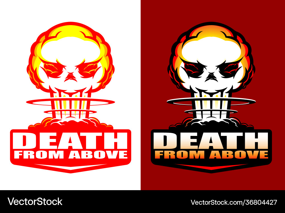 Death from above insignia style 2 versions Vector Image
