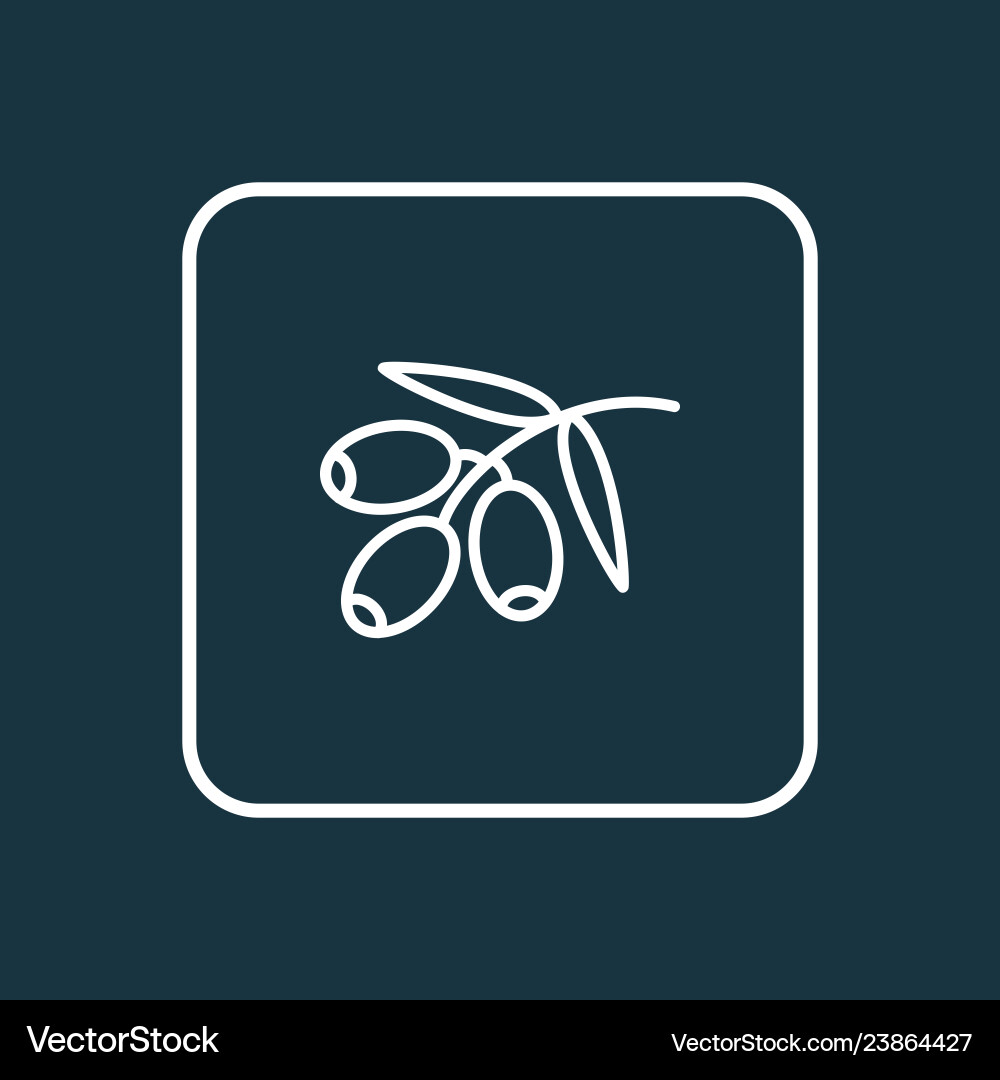 Olive branch icon line symbol premium quality Vector Image