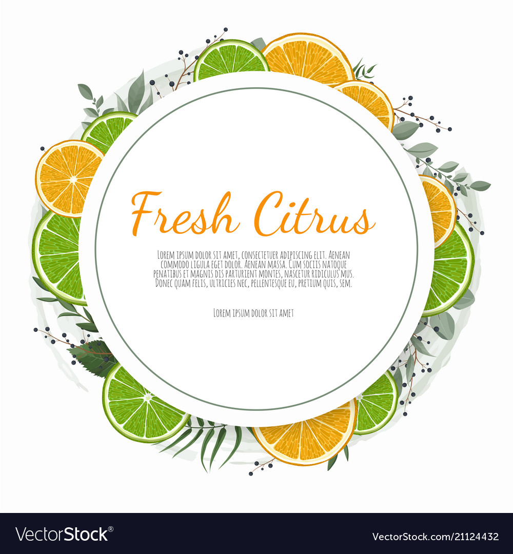 Orange fruits and flowers summer banner graphic Vector Image