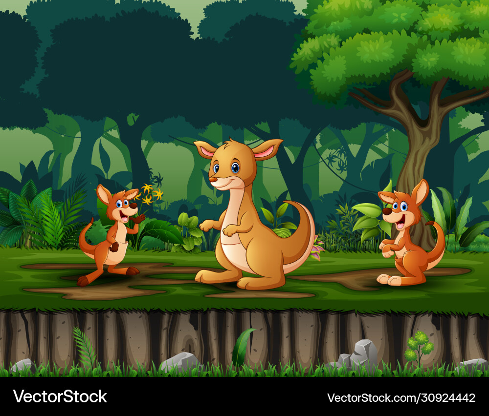 A mother kangaroo with her babies in forest Vector Image