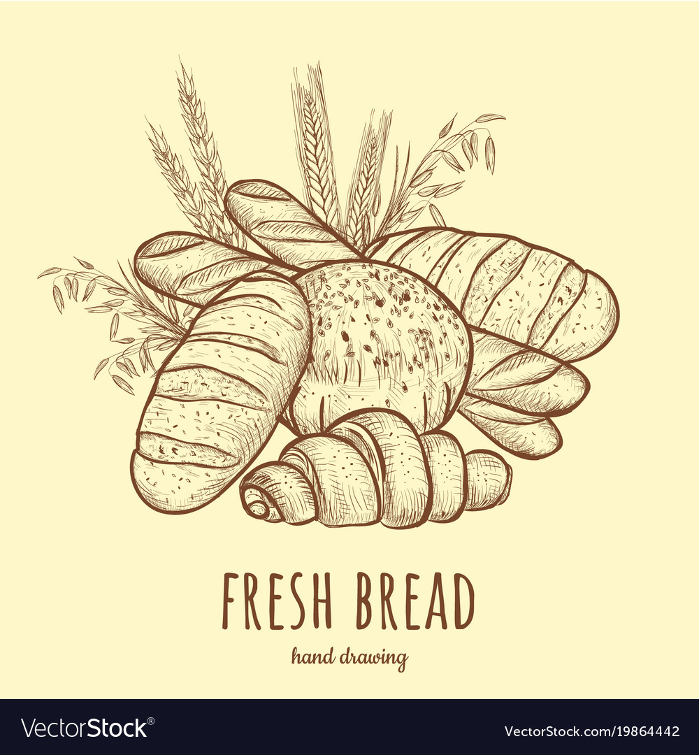 Fresh bread Royalty Free Vector Image - VectorStock