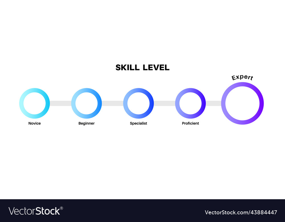Skill level diagram Royalty Free Vector Image - VectorStock