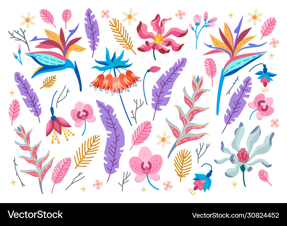 Collection tropical flowers a floral set Vector Image