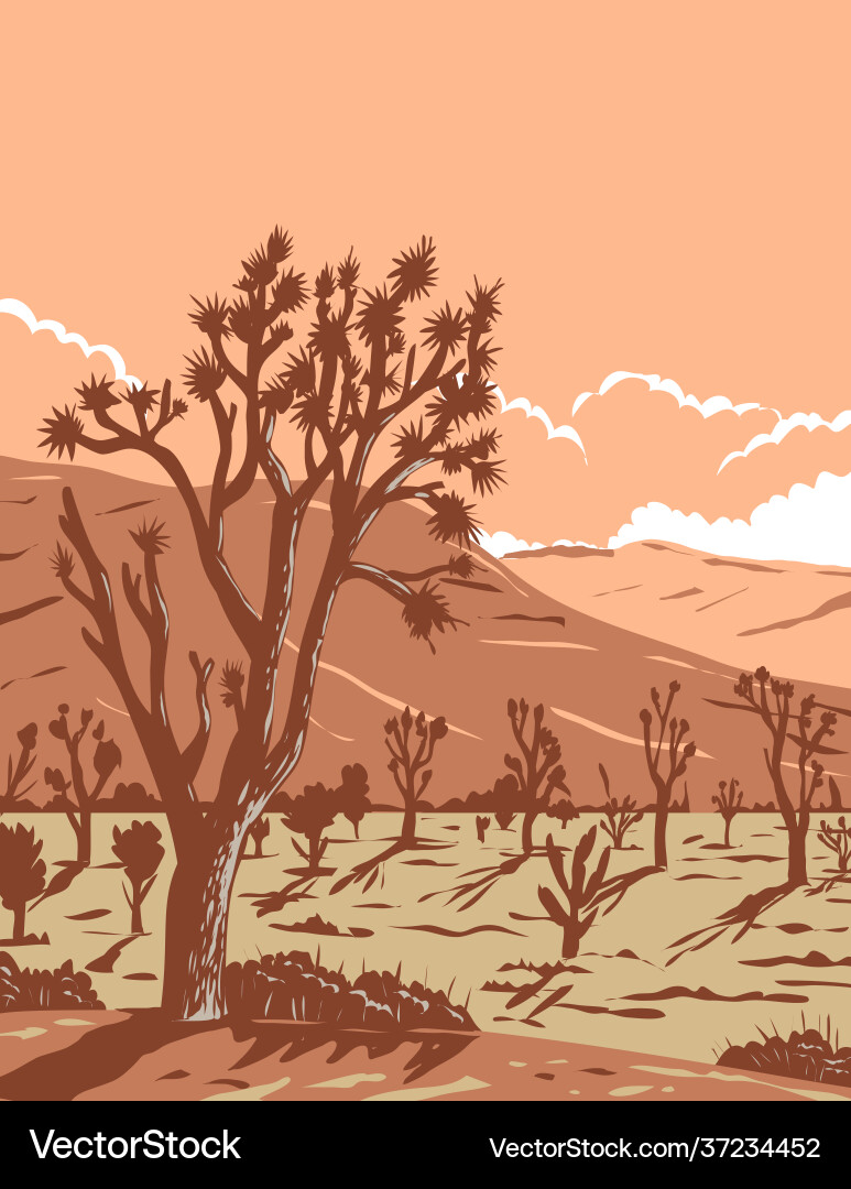 Joshua tree in mojave desert within joshua Vector Image