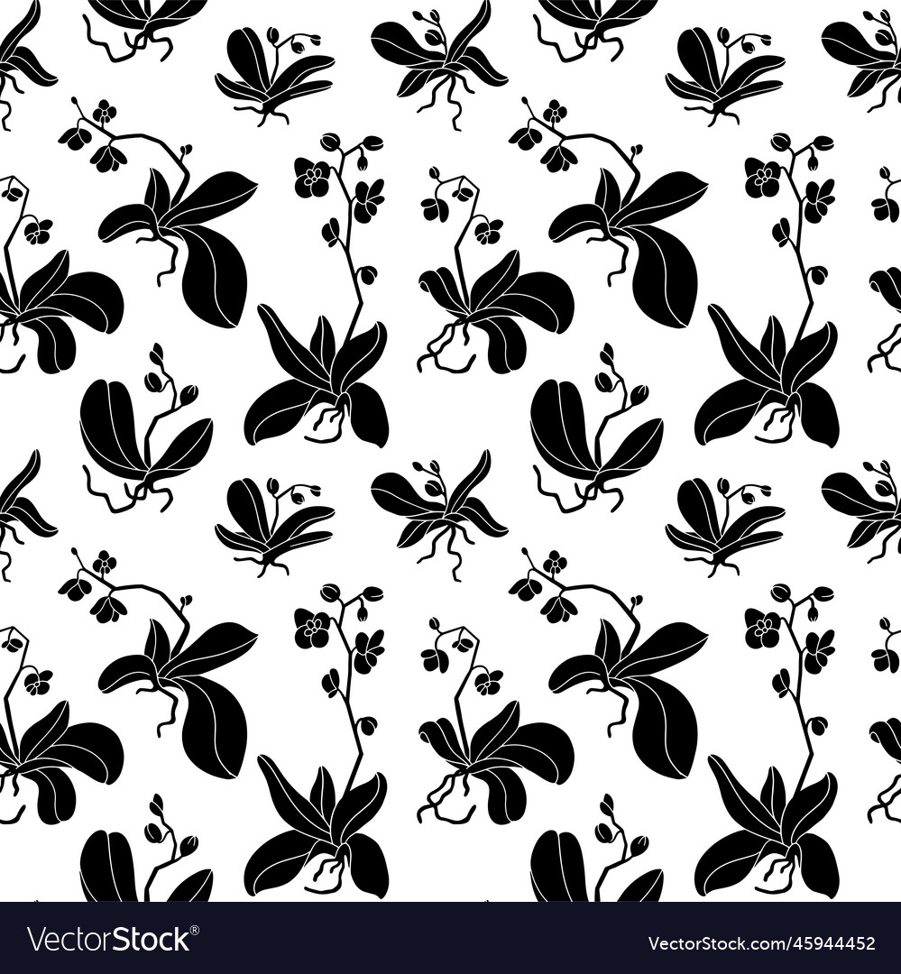 Orchid seamless pattern Royalty Free Vector Image