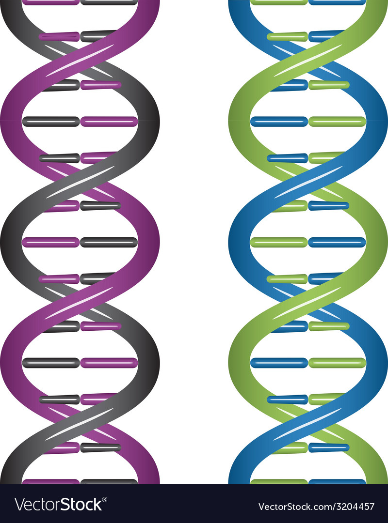Seamless DNA Royalty Free Vector Image - VectorStock
