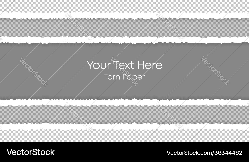 Ripped squared horizontal paper strips for your Vector Image