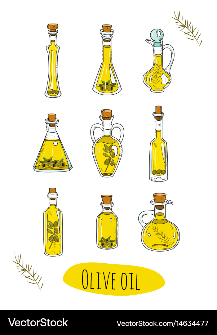 9 isolated doodle olive oils in cute bottles Vector Image