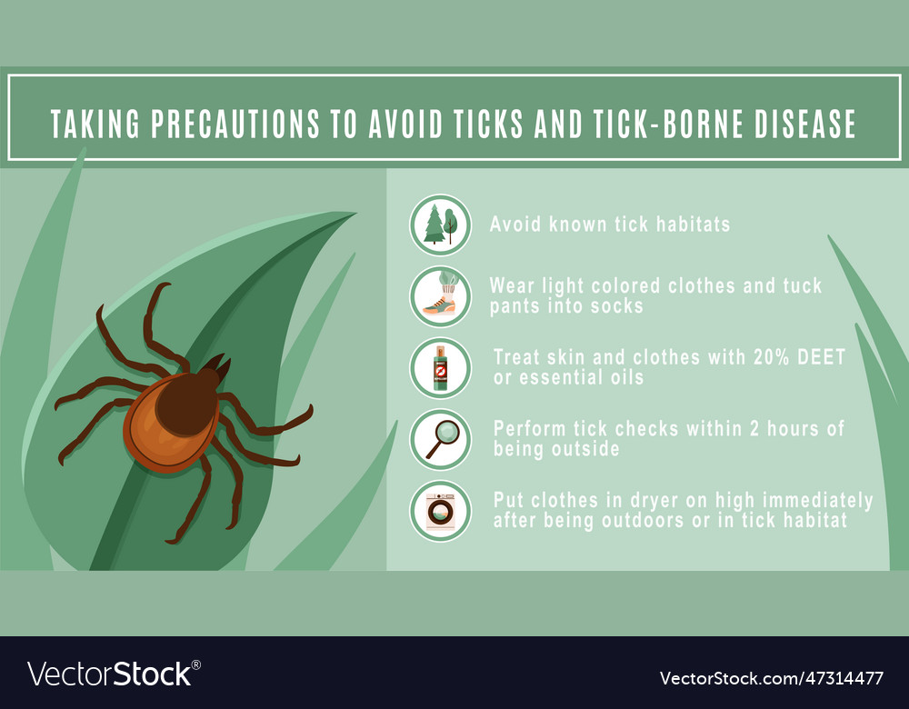 Preventing tick bite precaution lyme disease Vector Image