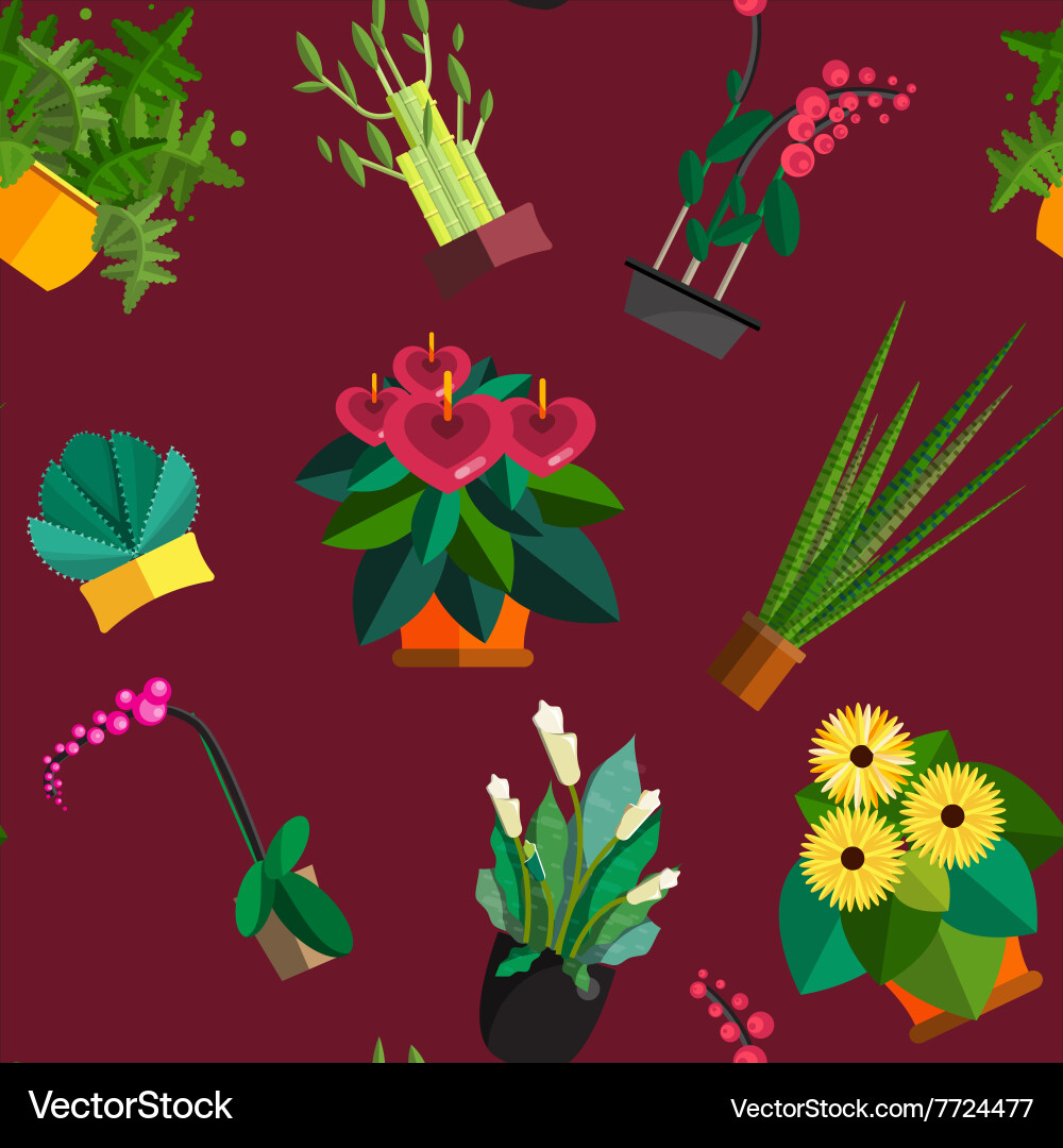 Seamless pattern of houseplants indoor and office Vector Image
