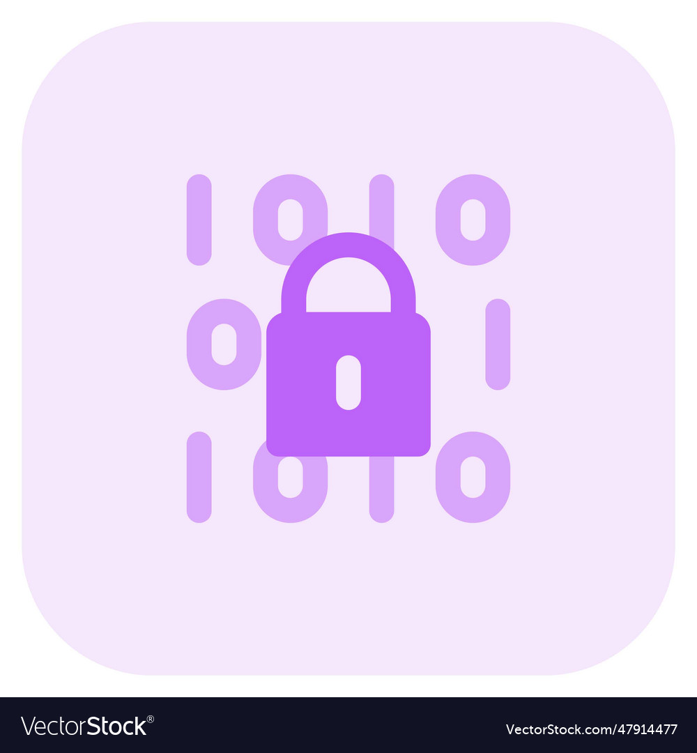 System developed padlock for additional safety Vector Image